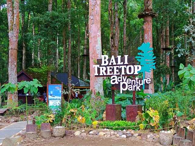 Bali Treetop Adventure Park - Famzbalitour